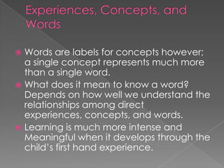 Developing Vocabulary and Concepts | PPTX