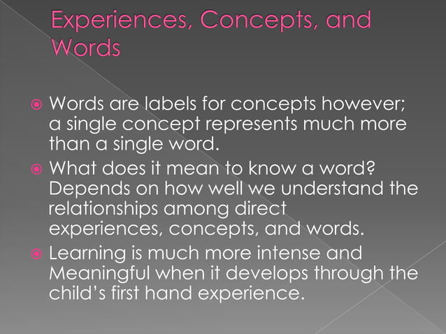 Developing Vocabulary and Concepts | PPTX
