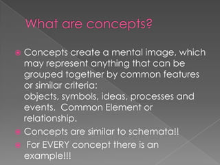 Developing Vocabulary and Concepts | PPTX