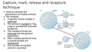Chapter 8 dynamic ecosystem Form 4 Biology | PPTX