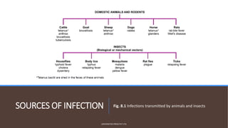 Epidemiology of infectious diseases .pptx