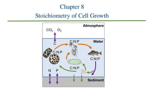 Chapter 8 for bioprocess engineerign - stoich of cell growth | PPTX