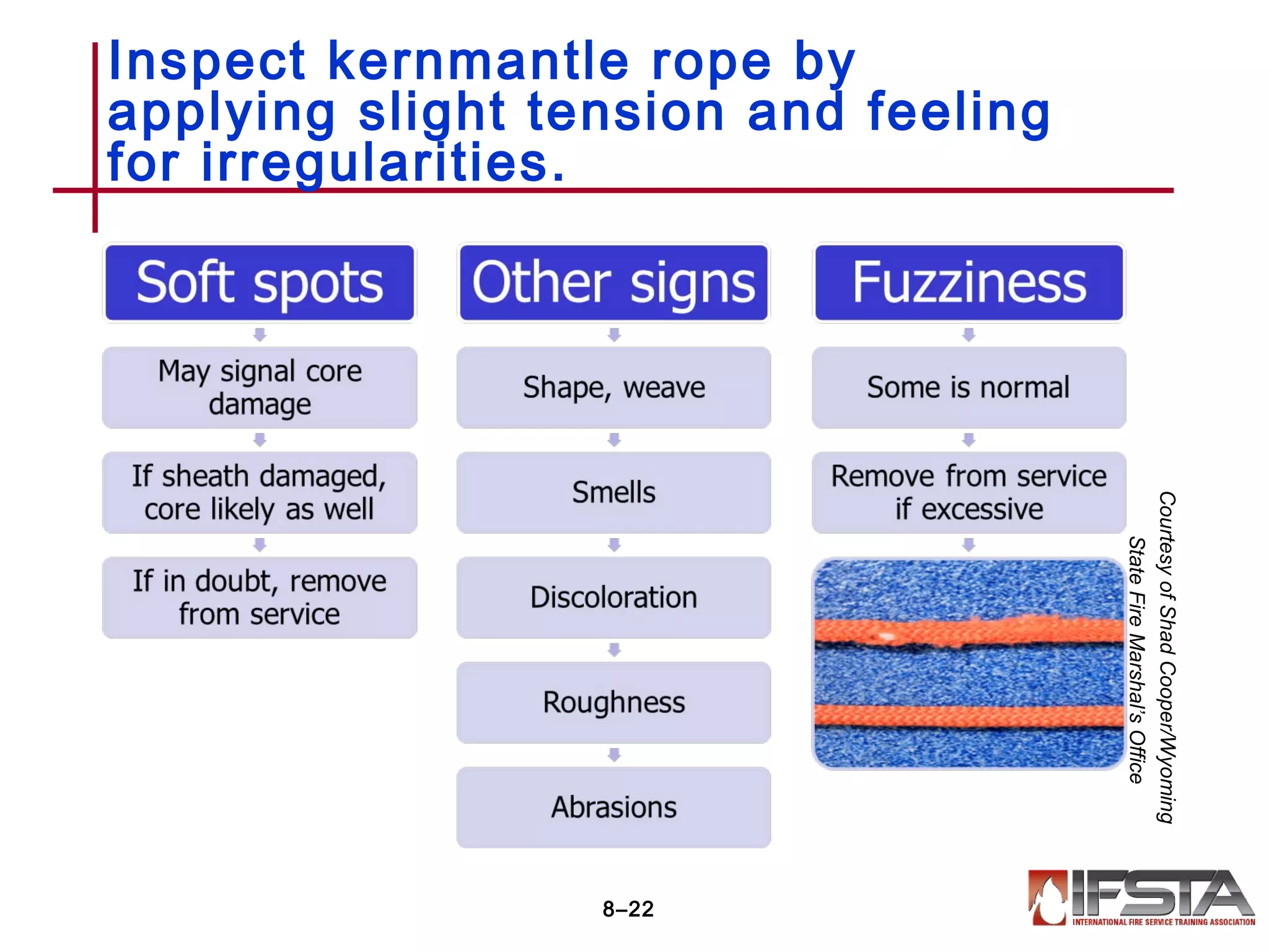 Chapter 8 ffi | PPT | Hair Care | Beauty