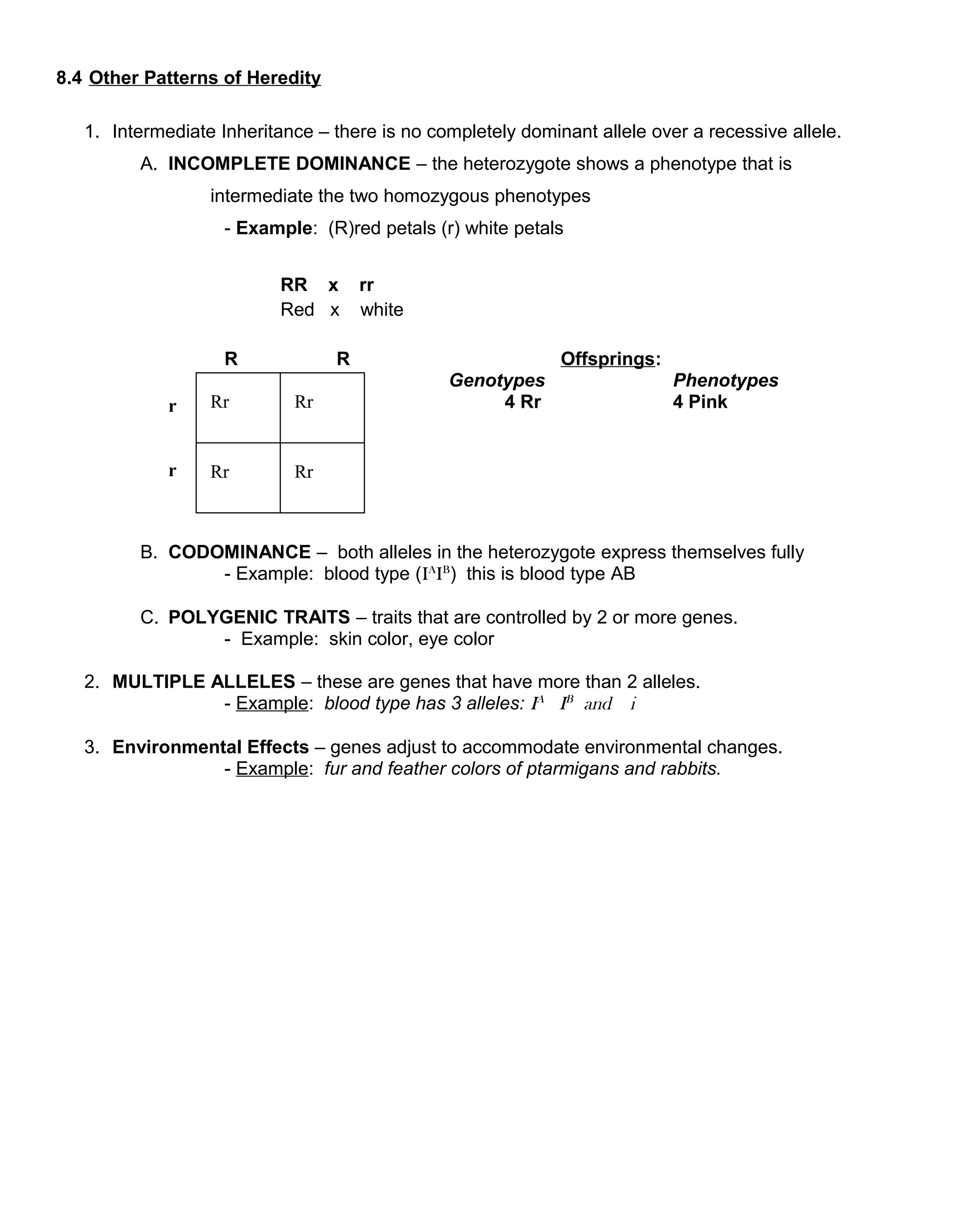 Fundamentals of Genetics Notes | DOC