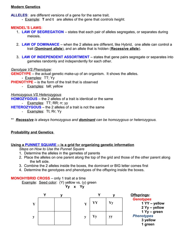 Fundamentals of Genetics Notes | DOC | Genetics | Science