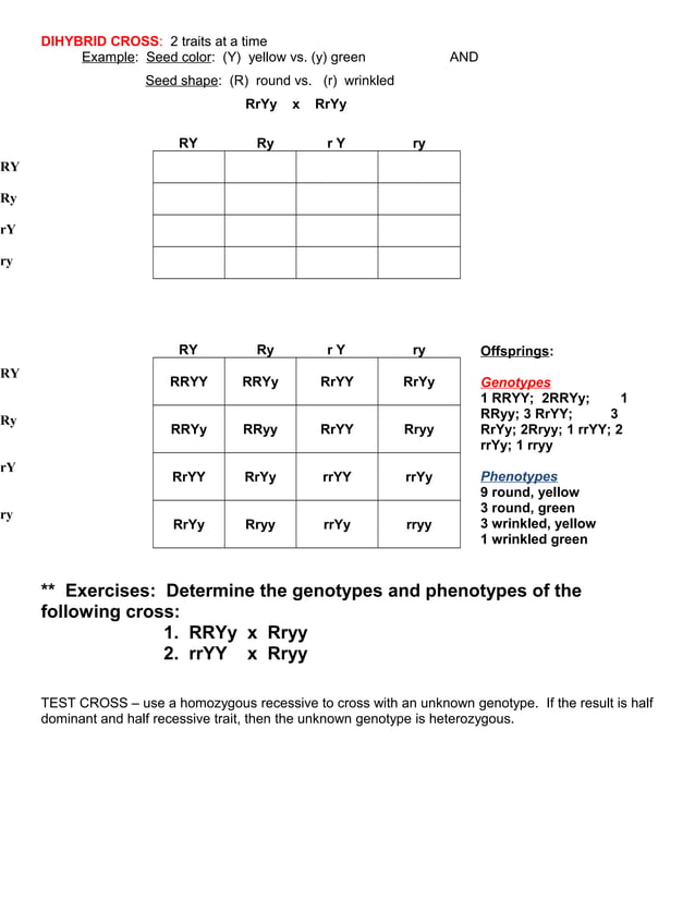 Fundamentals of Genetics Notes | DOC | Genetics | Science