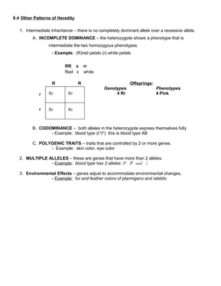 Fundamentals of Genetics Notes | DOC