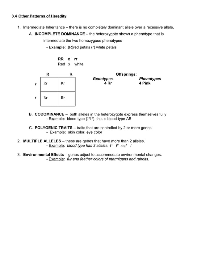 Fundamentals of Genetics Notes | DOC | Genetics | Science