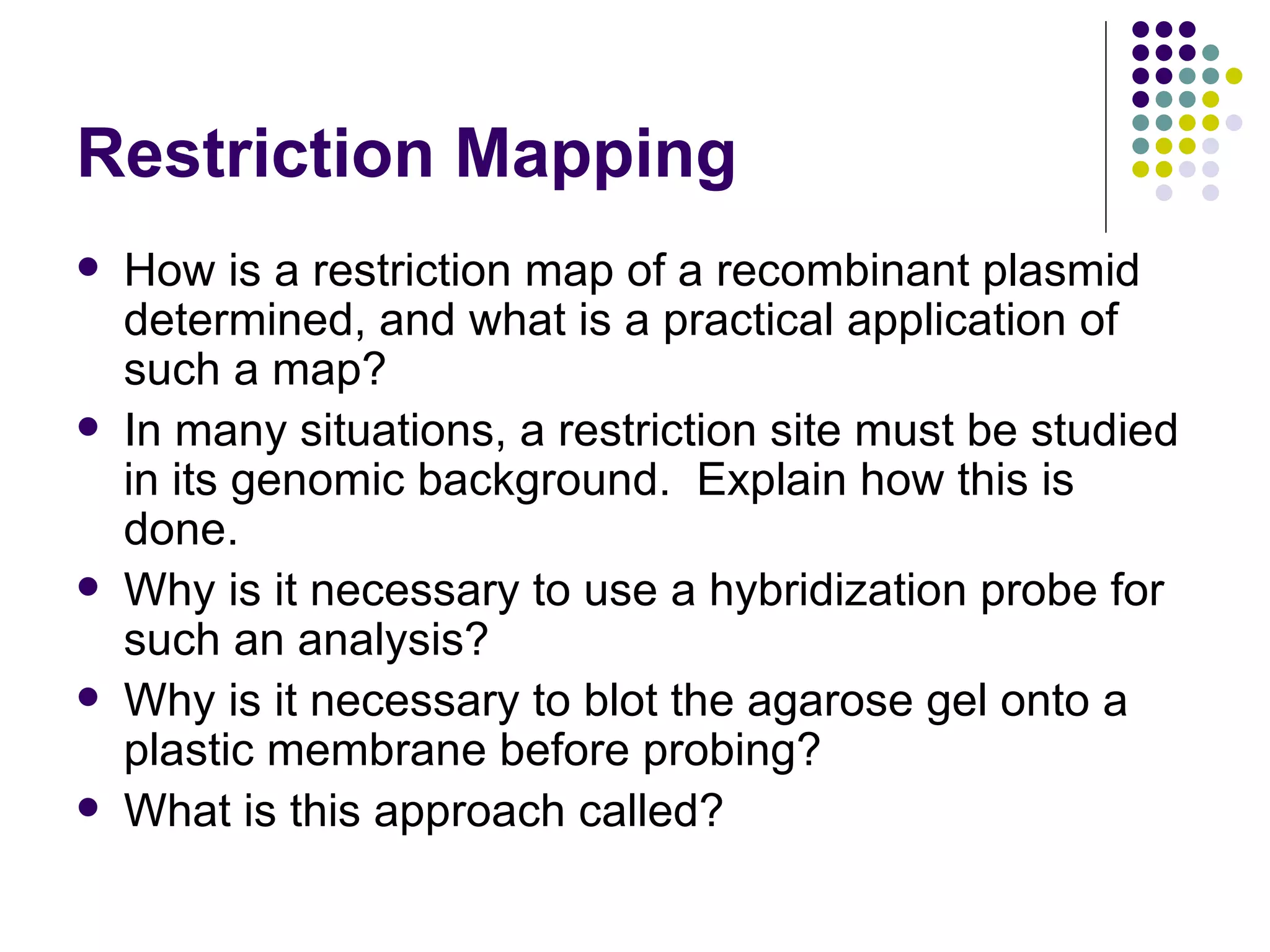 Chapter8 igenetics | PPT