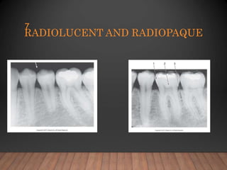 Chapter 8: Image Characteristics | PPT