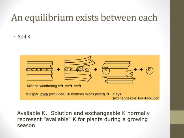 Chapter8_K.ppt for soil management and conservation and fertilizer k | PPT