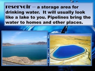 The Earth's Fresh Water/Water Cycle | PPTX