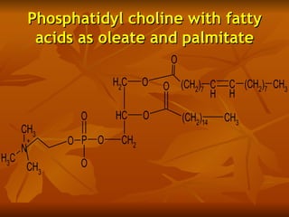 Chapter 8 lipids | PPT | Heart and Cardiovascular Diseases | Diseases ...