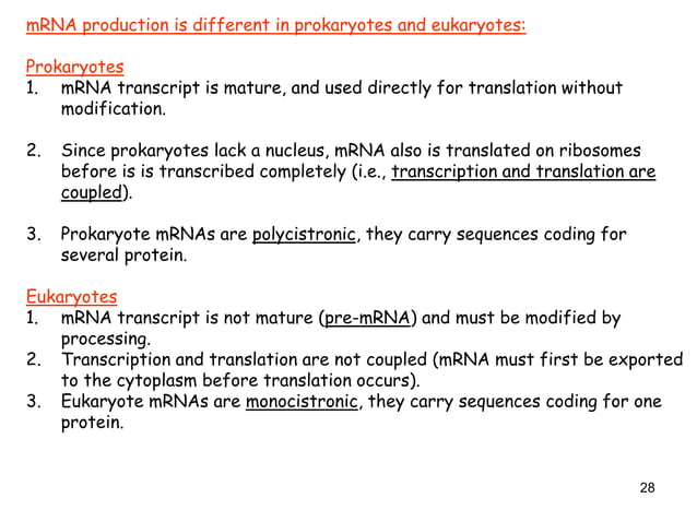 Chapter 8 microbial genetics | PPT | Biological Sciences | Science