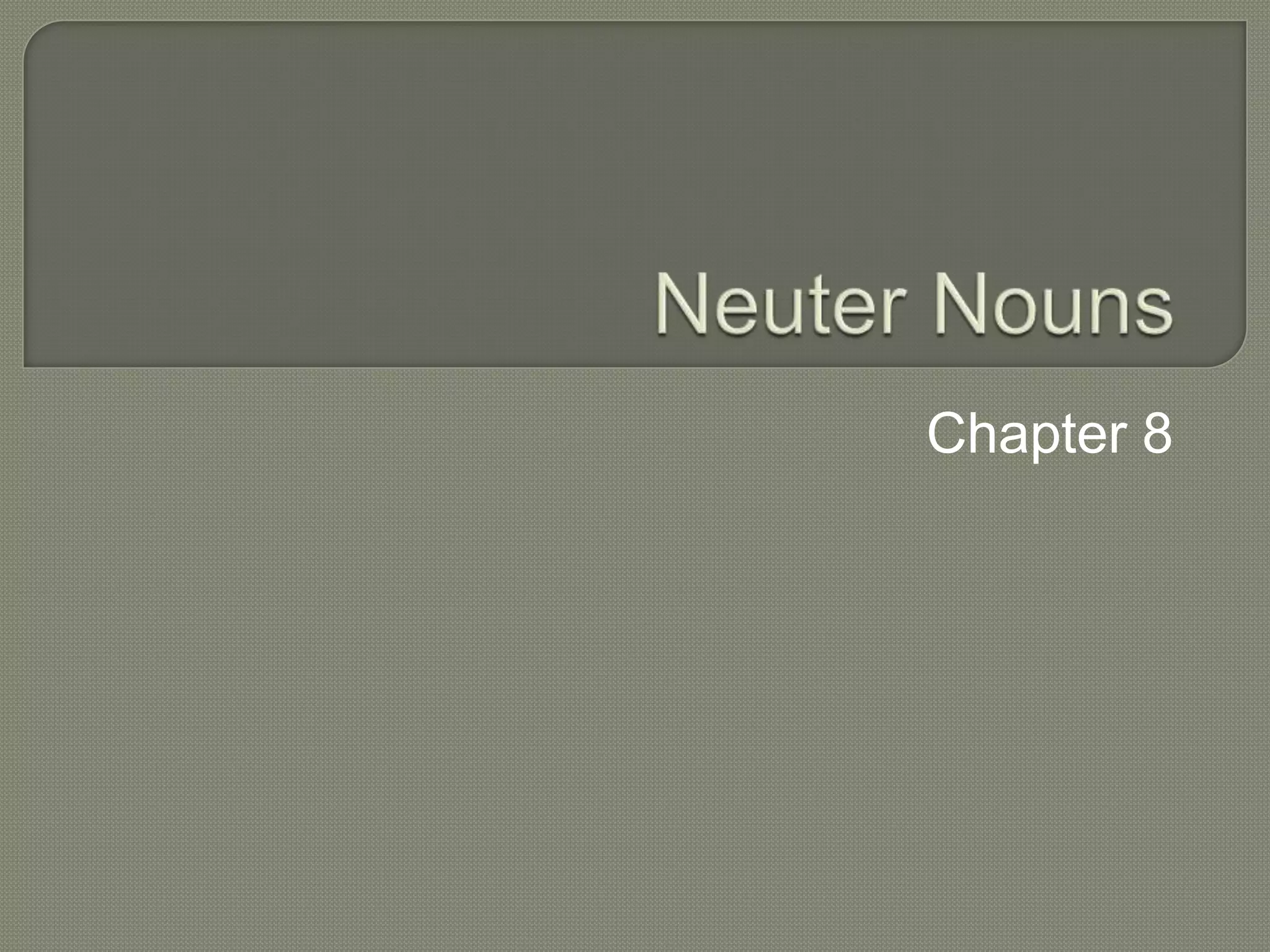 Chapter 8 Neuter Nouns | PPTX