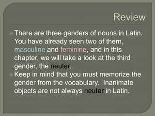 Chapter 8 Neuter Nouns | PPTX