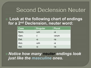 Chapter 8 Neuter Nouns | PPTX