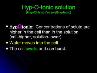 Cell Transportation and The Cell Cycle | PPT