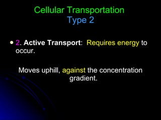 Cell Transportation and The Cell Cycle | PPT