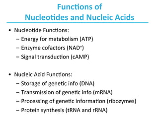 Chapter 8 nucleotides Biochemistry | PDF