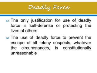 Constitutional Issues - Chapter 8 | PPTX | Law