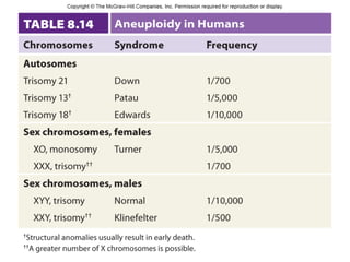 Bio 100 Chapter 8 part 2 | PPT
