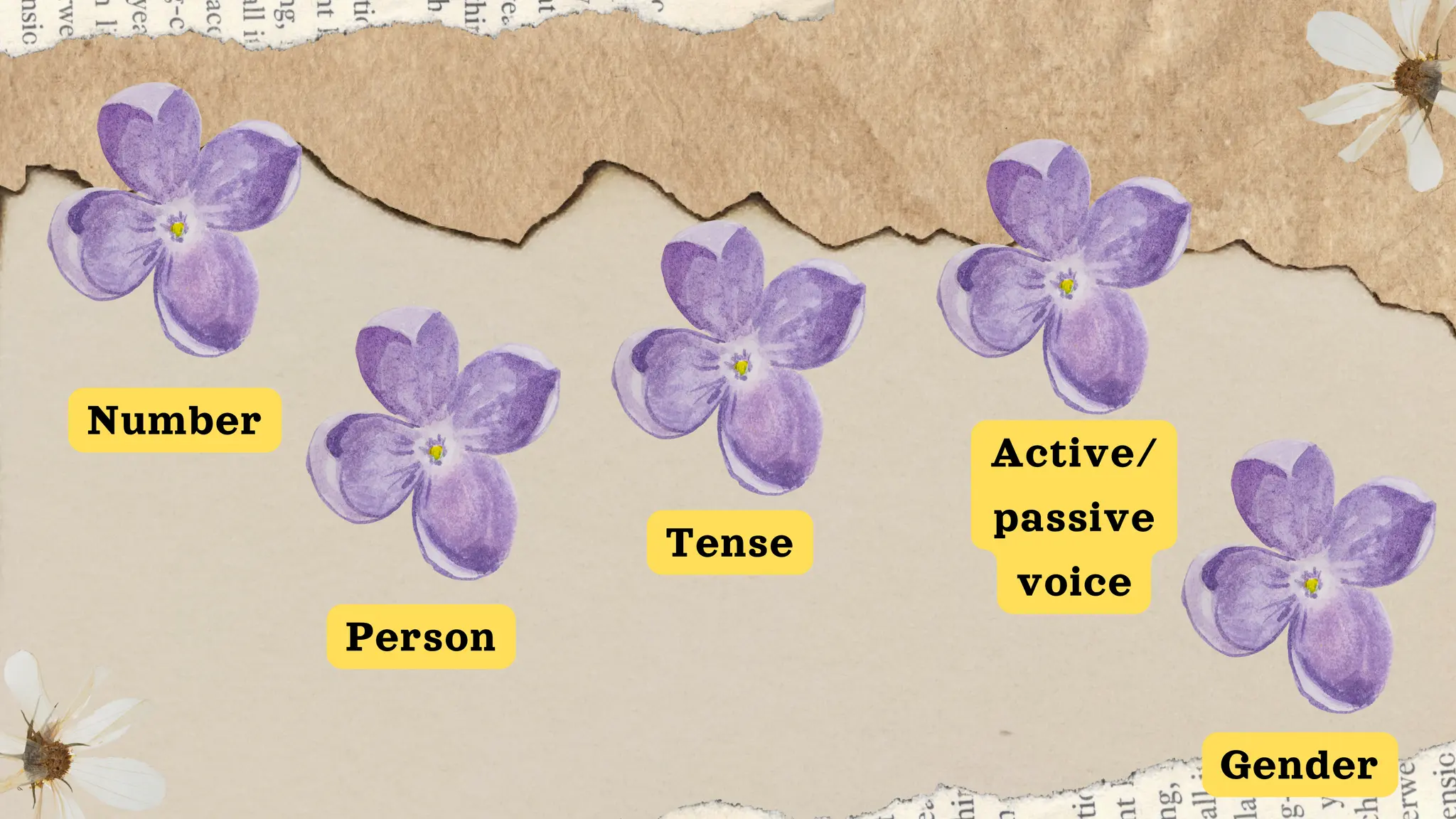 George Yule_Phrases and sentences grammar.pdf