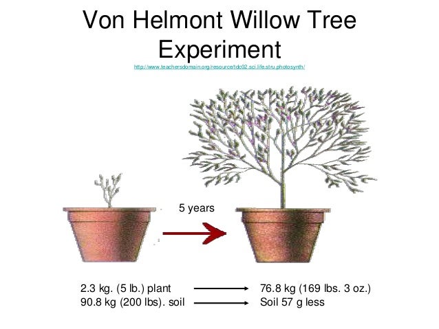 Chapter 8 power point