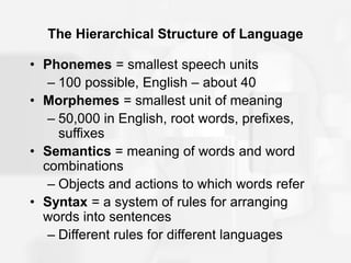 Chapter_8_Powerpoint_language.ppt
