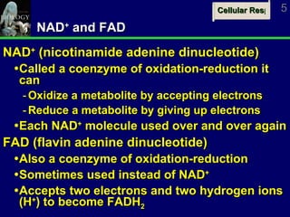 Chapter 8 Powerpoint Le | PPT
