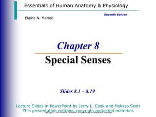 Chapter 8 ppt-senses.ppt