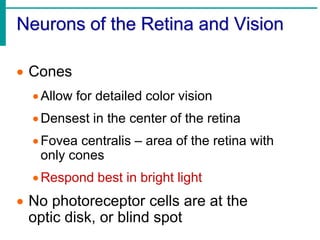 Chapter 8 ppt-senses.ppt