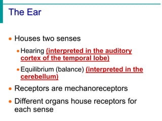 Chapter 8 ppt-senses.ppt
