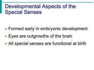 Chapter 8 ppt-senses.ppt