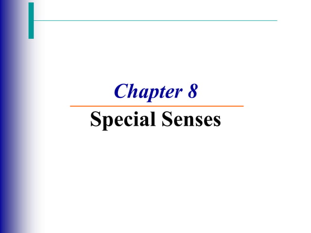 Chapter 8 ppt-senses.ppt | Eye and Vision Conditions | Diseases and Conditions