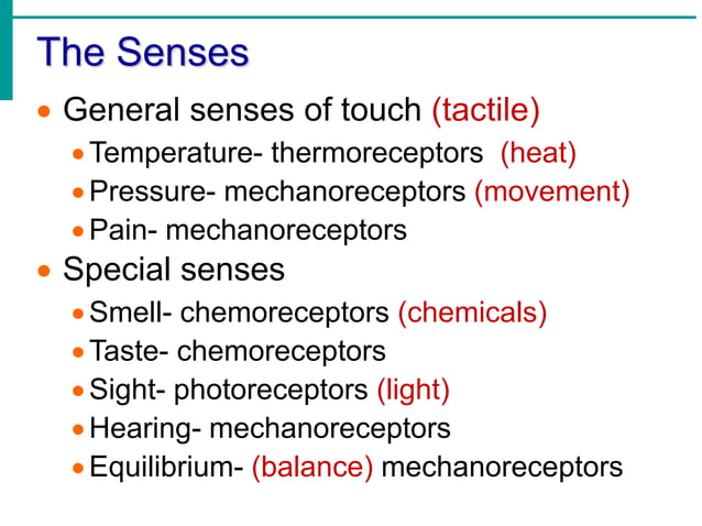 Chapter 8 ppt-senses.ppt | Eye and Vision Conditions | Diseases and ...