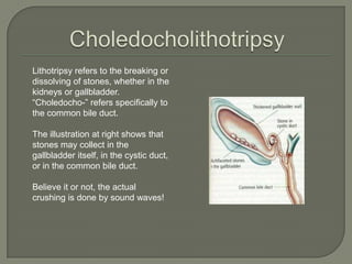 Chapter 8 presentation | PPT