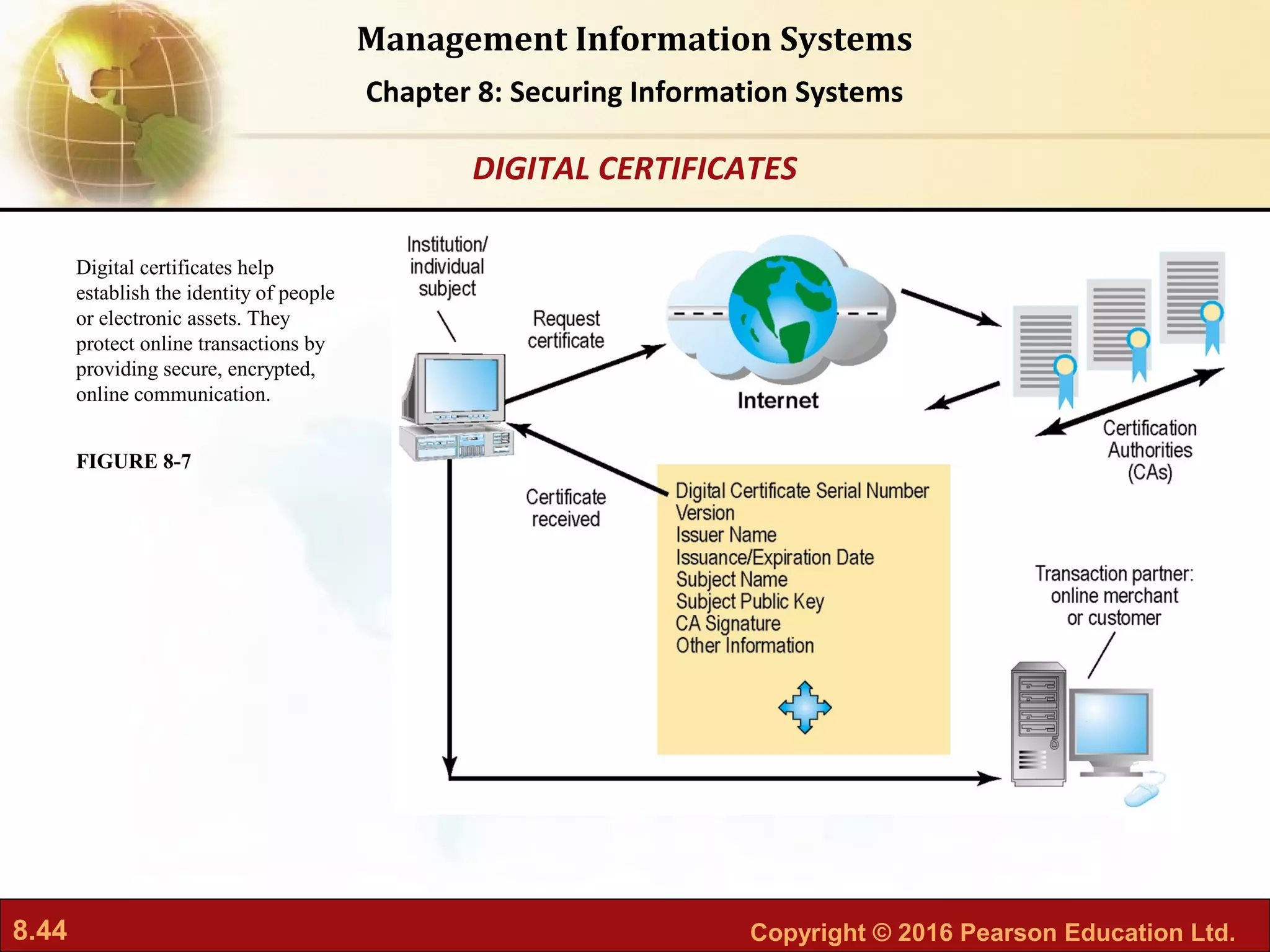Chapter 8 securing information systems | PDF