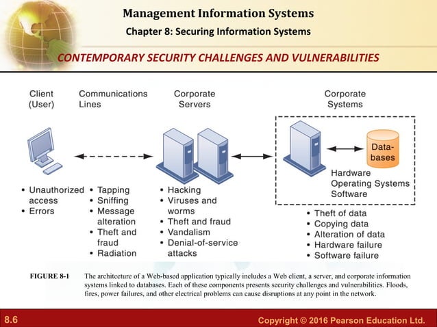 Chapter 8 securing information systems | PDF