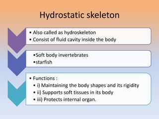 Chapter 8 slideshow | PPSX