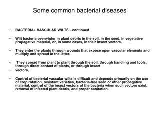 Chapter_ 8 specific bacterial disease and control.ppt