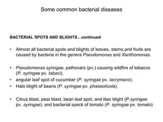 Chapter_ 8 specific bacterial disease and control.ppt