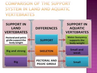 Chapter 8 support and movement | PPTX