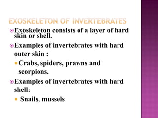 Chapter 8 support and movement | PPTX