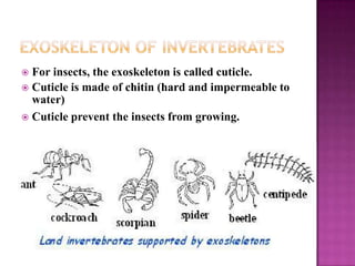 Chapter 8 support and movement | PPTX