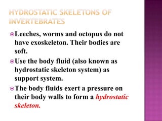 Chapter 8 support and movement | PPTX