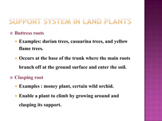 Chapter 8 support and movement | PPTX