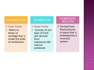 Chapter 8 support and movement | PPTX