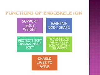 Chapter 8 support and movement | PPTX