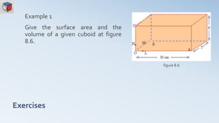 C8: Surface Area and Volume | PPTX